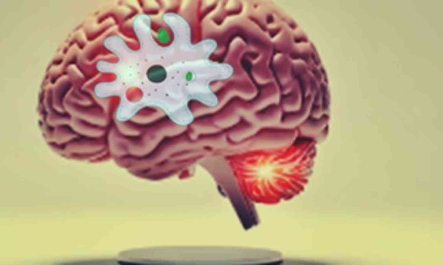 All about brain-eating amoeba infection that claimed two lives in Kerala