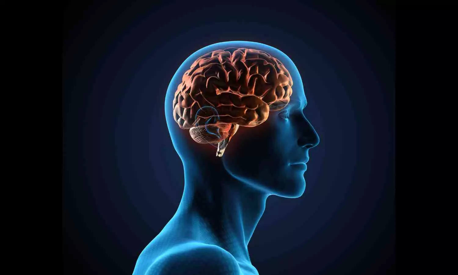 WORLD BRAIN DAY 2024