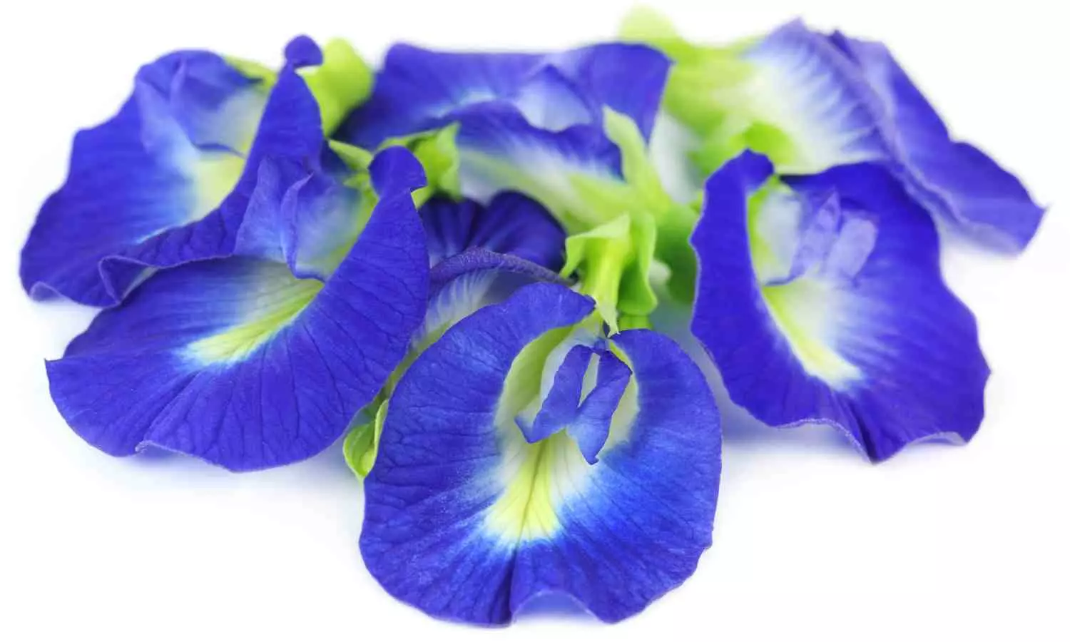 6 Amazing Benefits of Aparajita