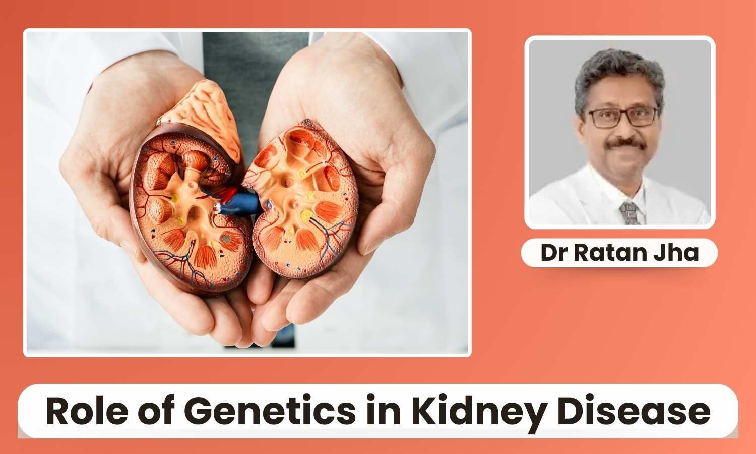 Role of Genetics in Kidney Disease: Can Your Family History Predict ...