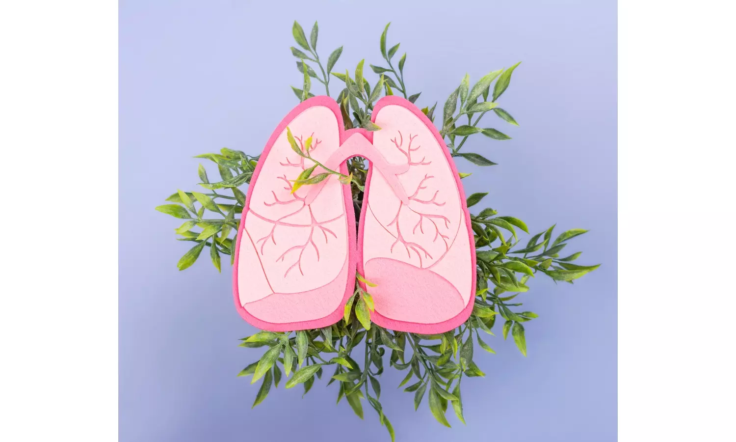 World Tuberculosis Day 2025: What You Need to Know