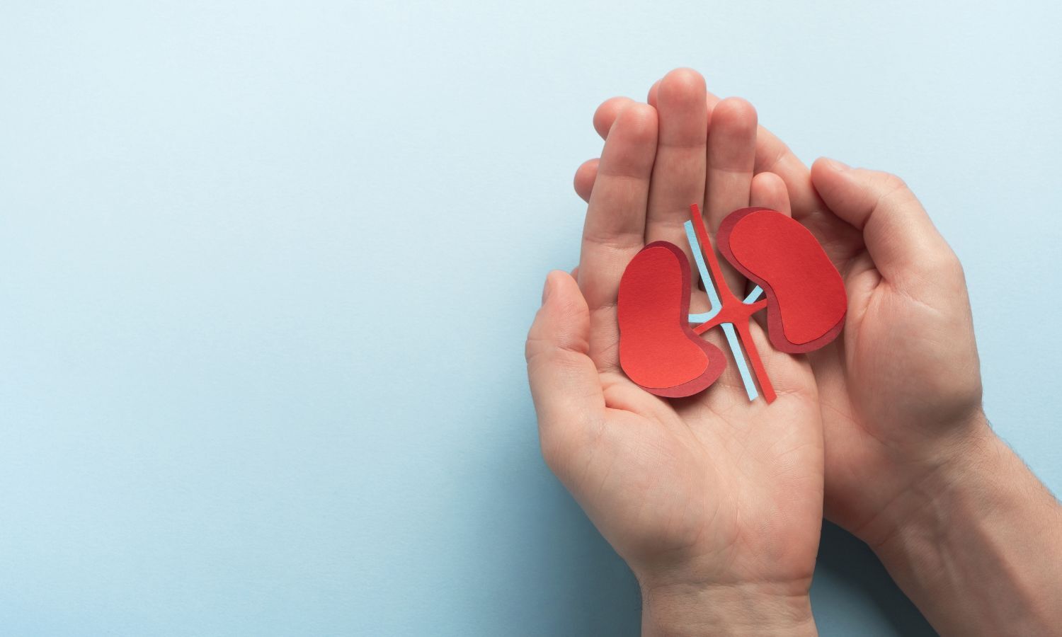 Children With Single Kidney Can Thrive Through Evidence-Based Care: Experts